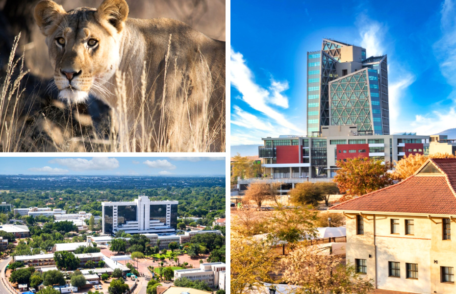 Banking In Botswana: Top 10 Things You Should Know